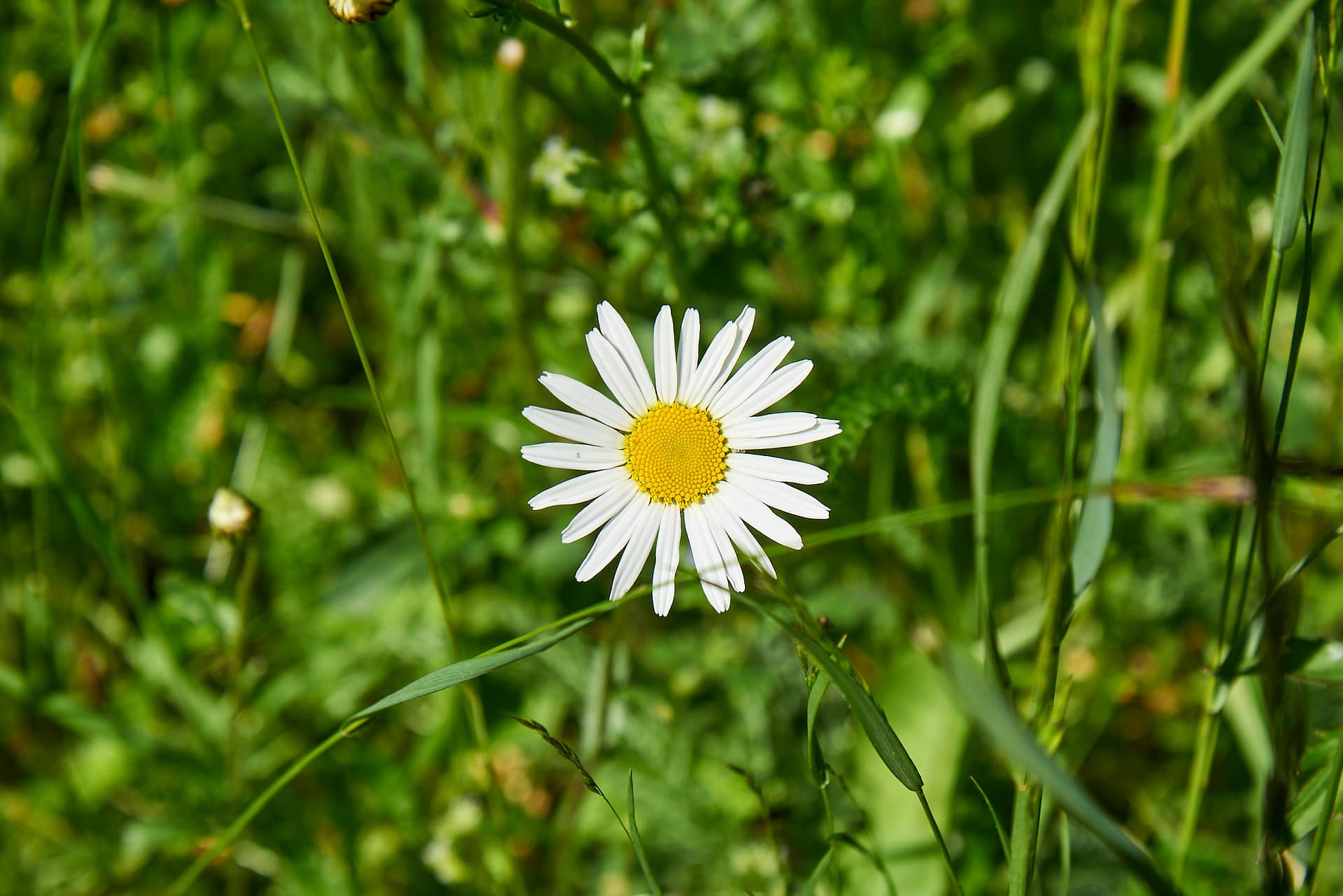 Seite Eins - FOTO- ZEIT- REISE mit Matthias GUTH